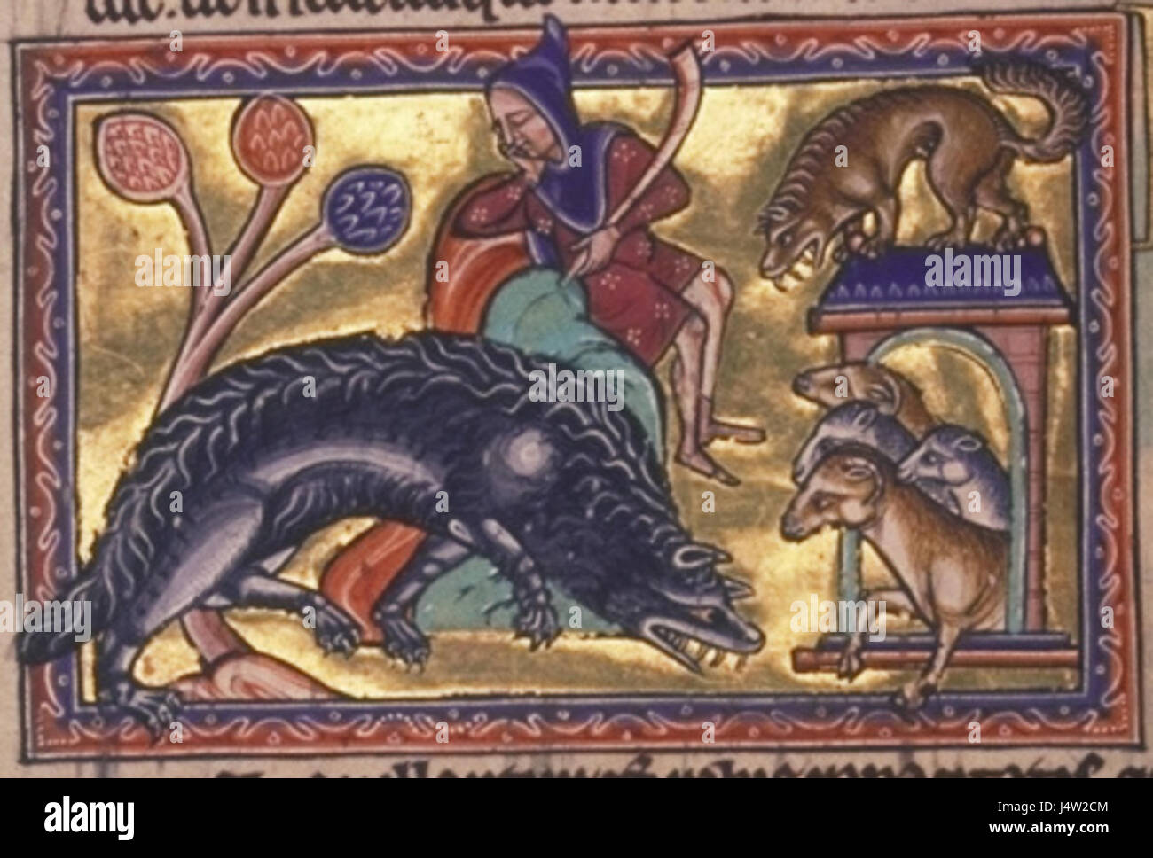 Wolf sneak hi-res stock photography and images - Alamy