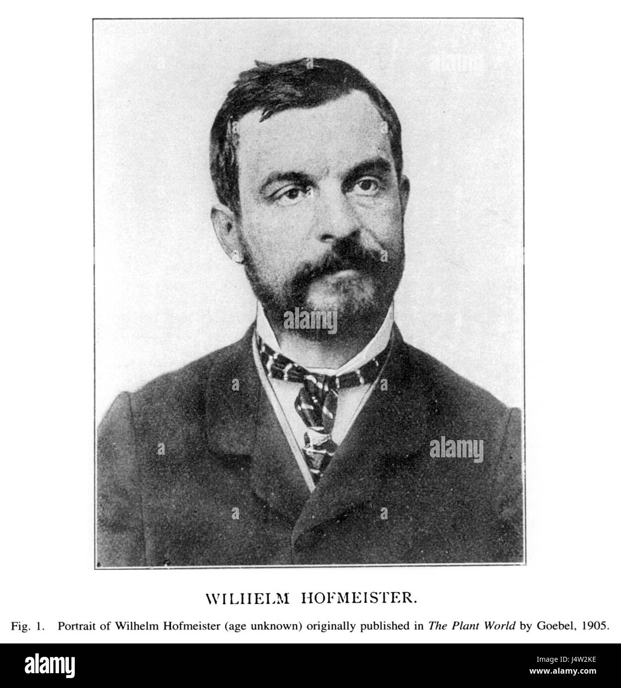 Hofmeister hi-res stock photography and images - Alamy