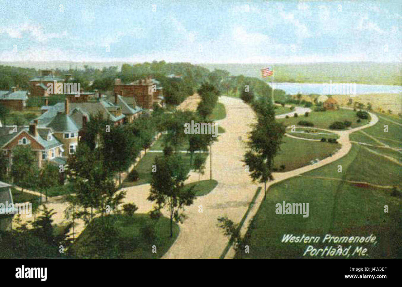 An atmospheric depiction of the Western Promenade during summer ...