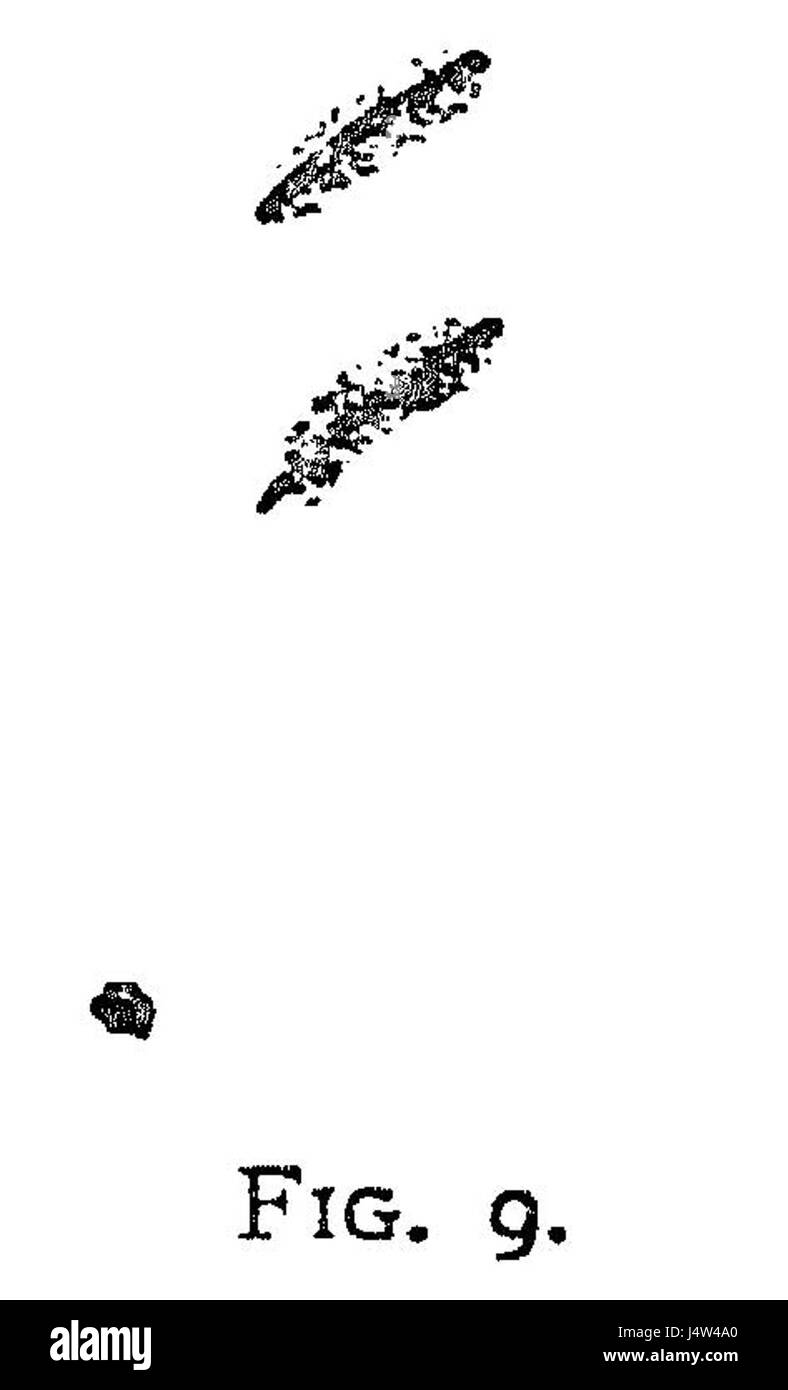 Rope designs Black and White Stock Photos & Images - Alamy