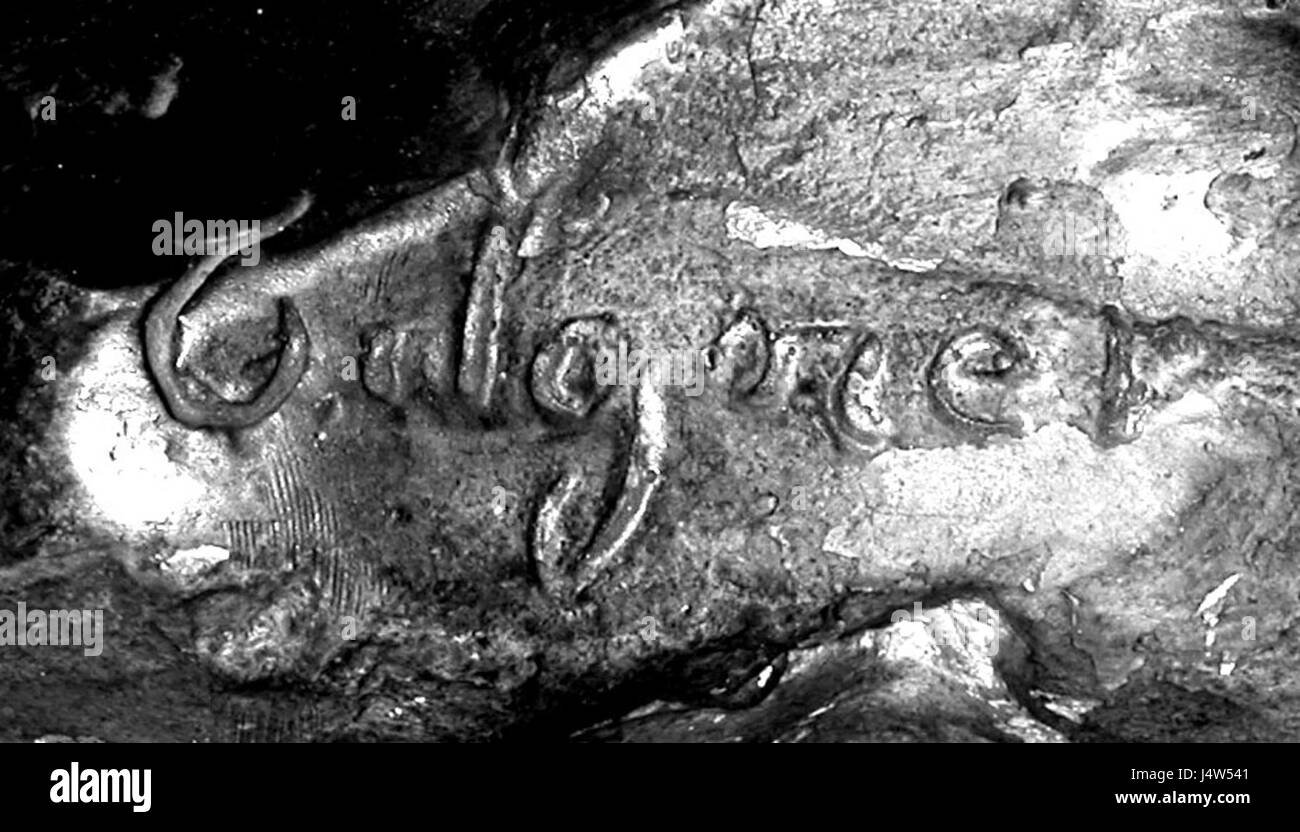 Tilgner High Resolution Stock Photography and Images - Alamy