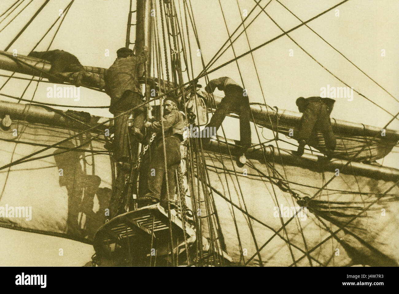 'Wd b176' may refer to a code or reference number, likely indicating a cataloged item, document ...