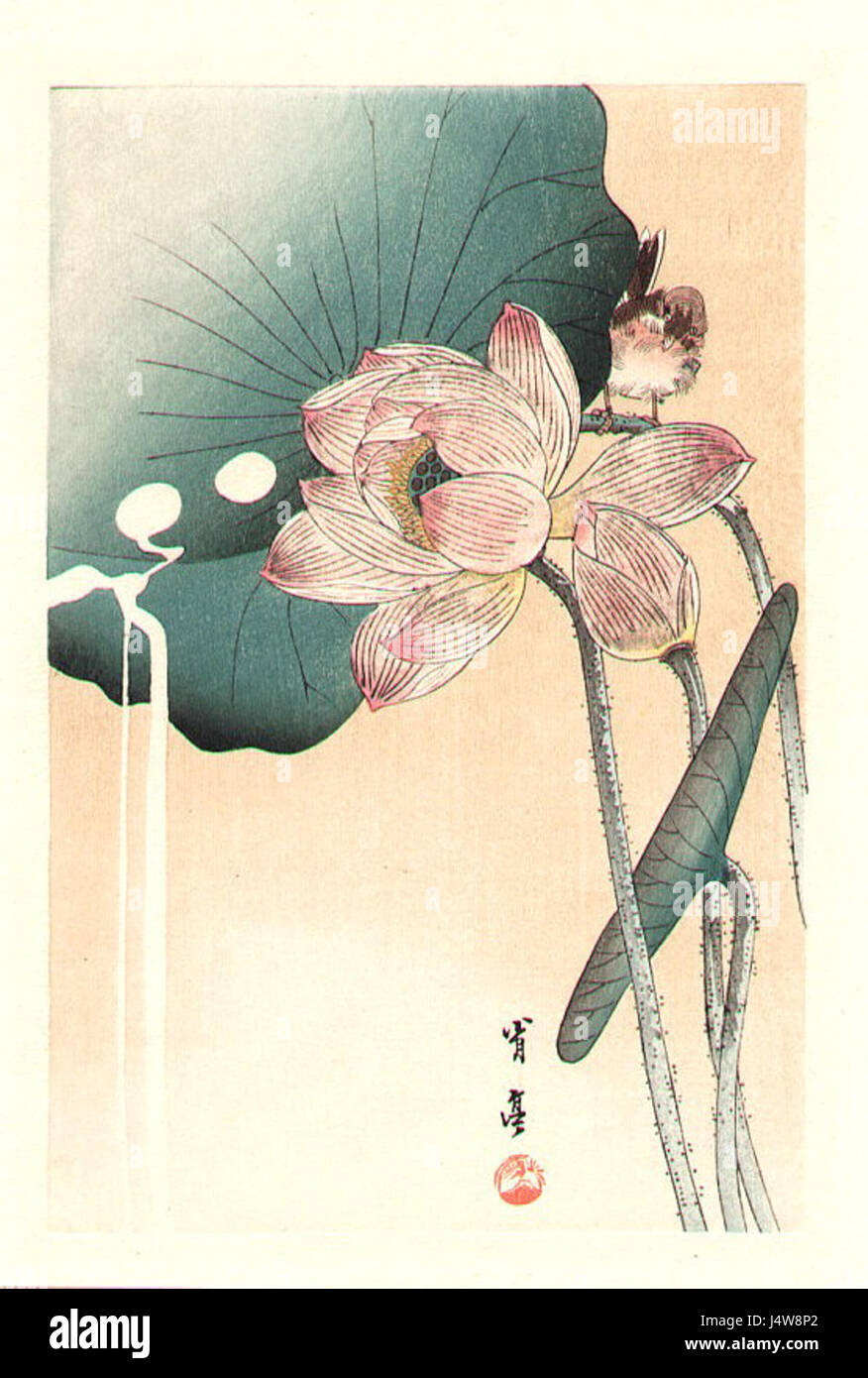 Watanabe Shotei was a Japanese artist known for his woodblock prints ...