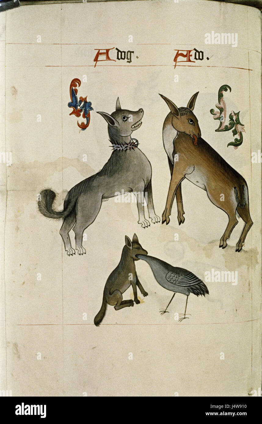 The Tudor pattern book MS. Ashmole 1504 contains detailed designs and ...