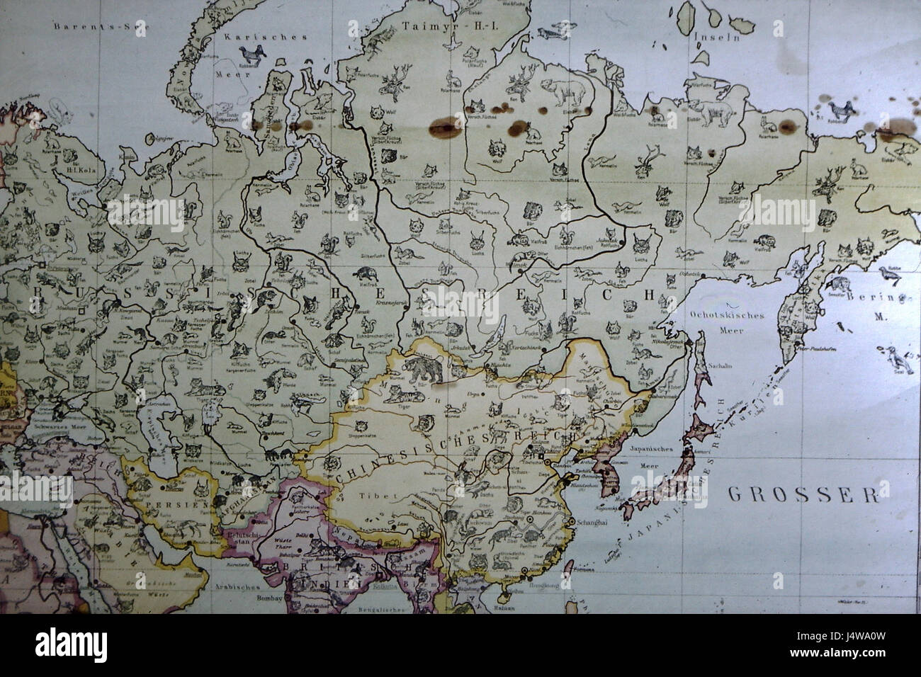The 'Weltkarte der Pelztiere' (World Map of Fur-bearing Animals ...