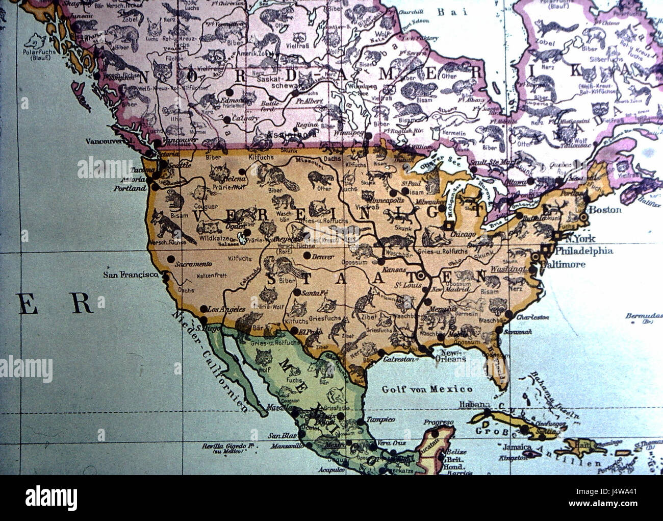 'Weltkarte der Pelztiere, Nordamerika 2' is a map depicting the ...