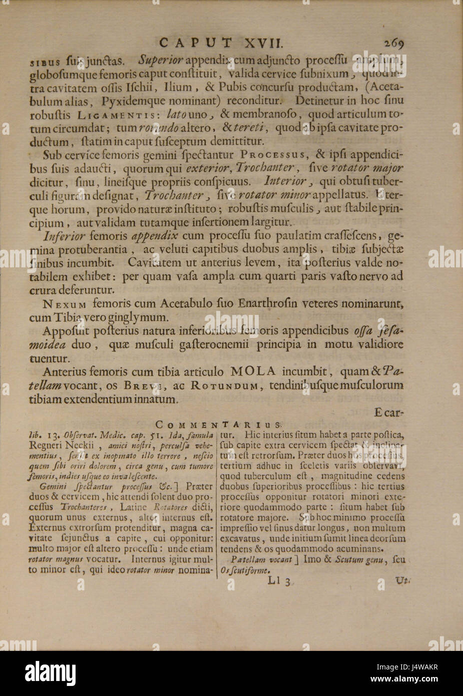 Vesling Syntagma Anatomicum 269 refers to an important anatomical text ...