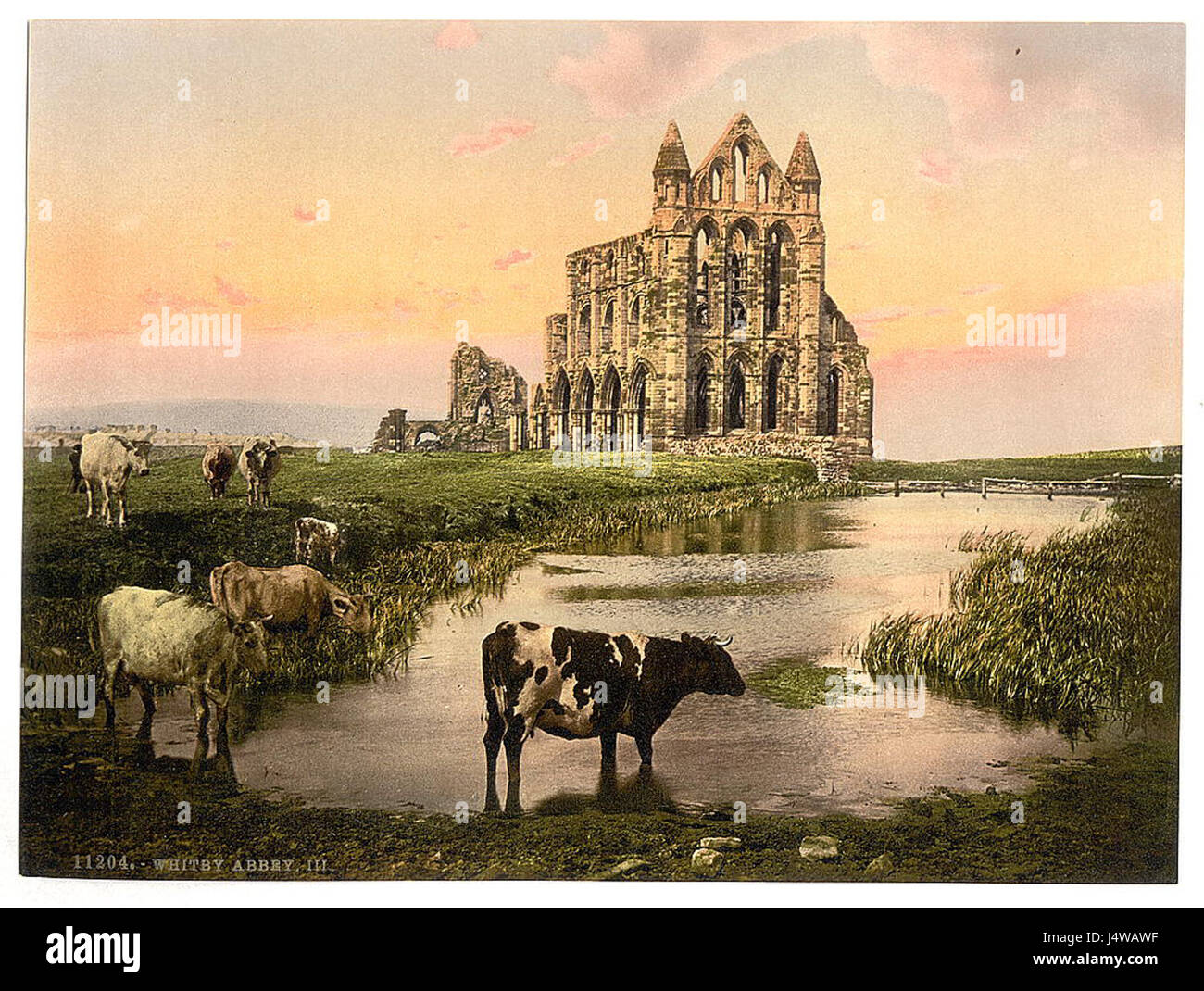 Whitby abbey drawing hi-res stock photography and images - Alamy