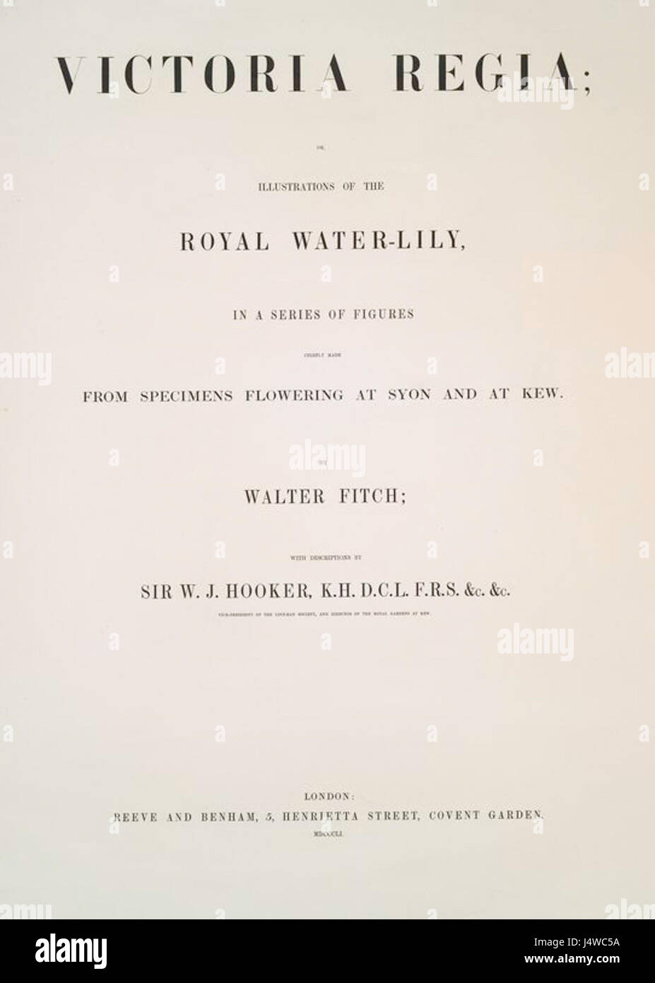 Victoria Regia (1851, title page Stock Photo - Alamy