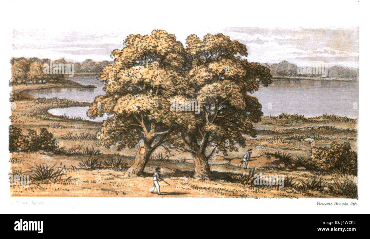 Map of mckinlay hi-res stock photography and images - Alamy