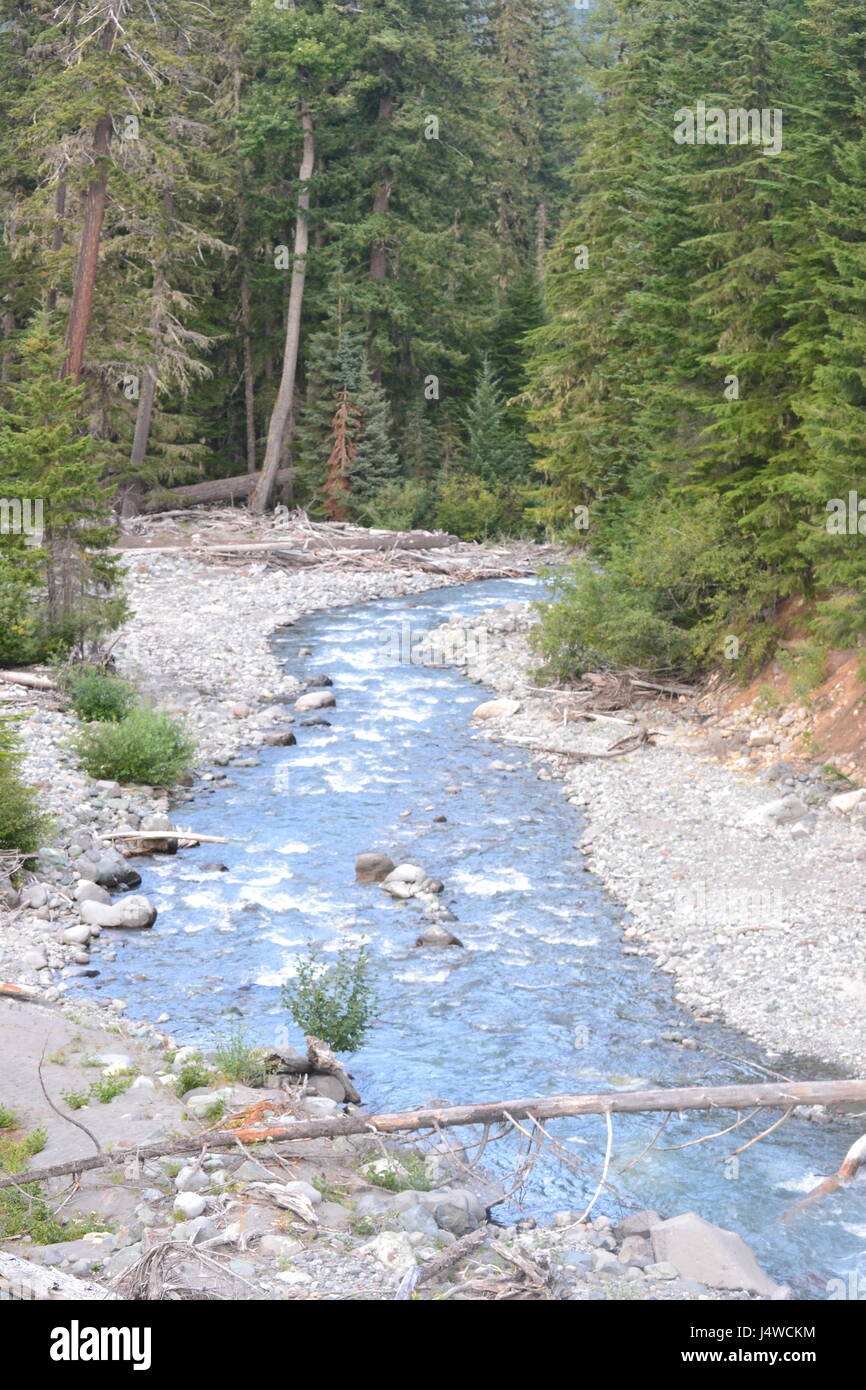 Glacial river of Mt. Rainier Stock Photo - Alamy