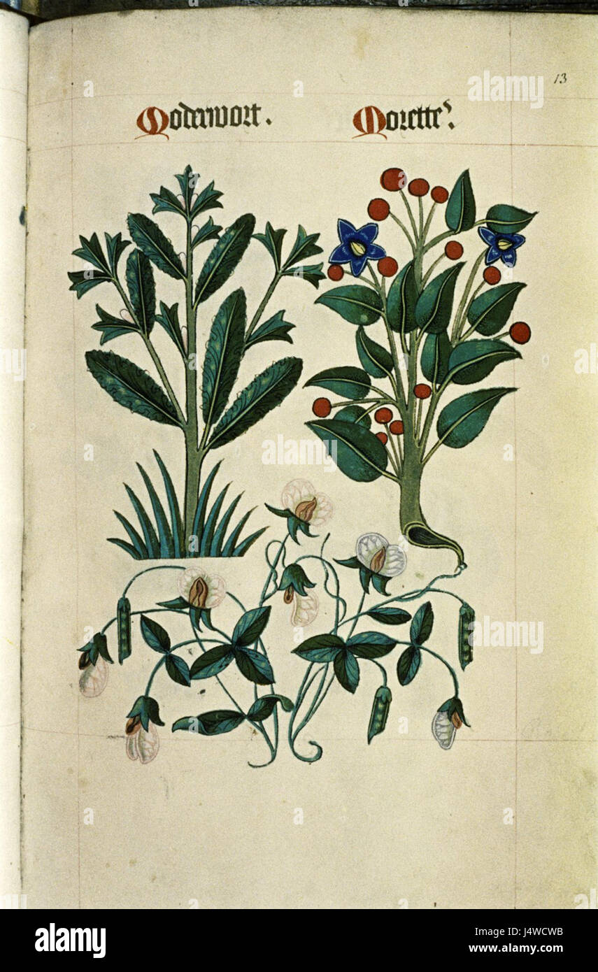 The 'Tudor pattern book' is a manuscript that features patterns, likely ...