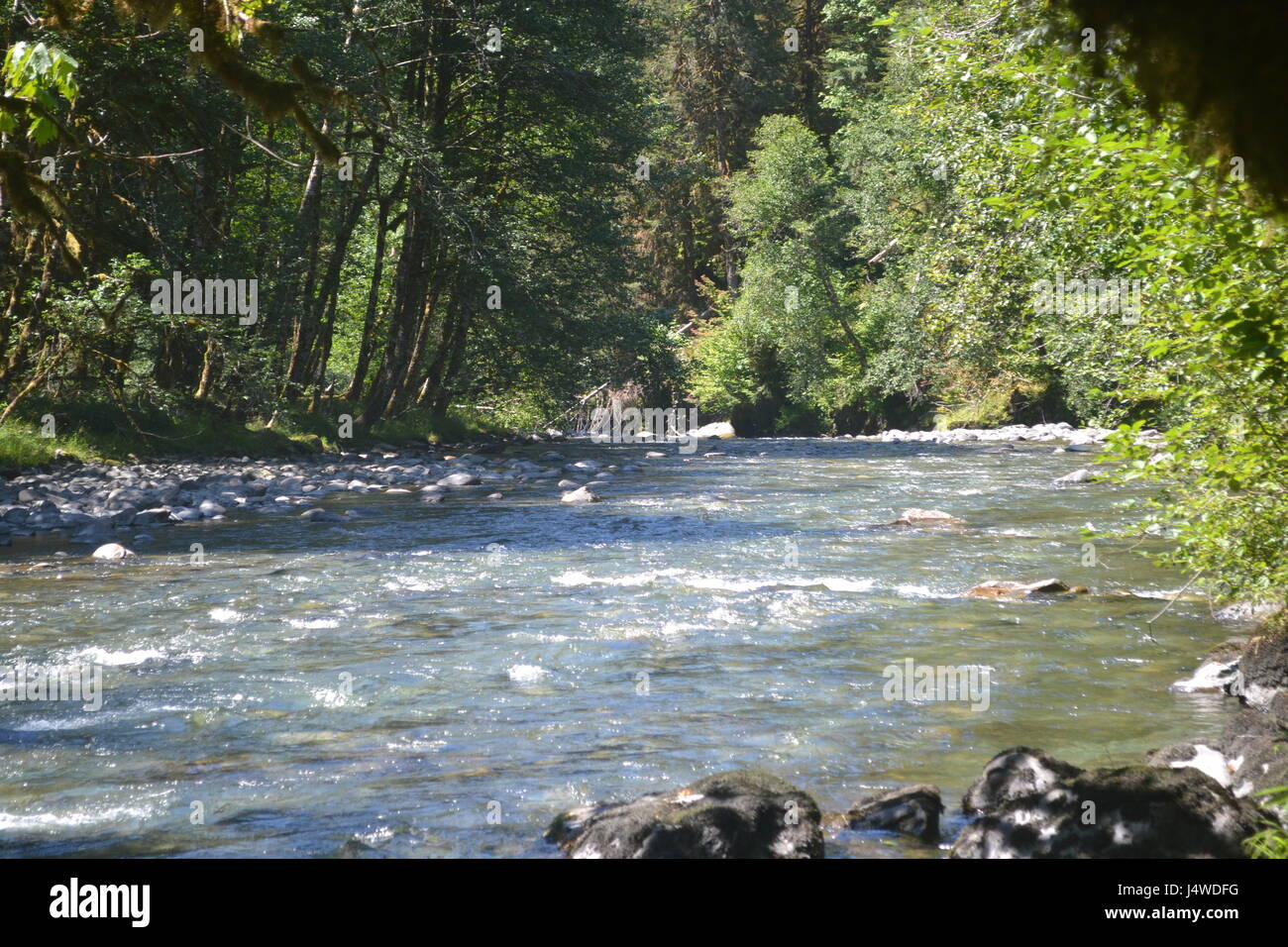 Wild river of the Ho rainforest Stock Photo - Alamy