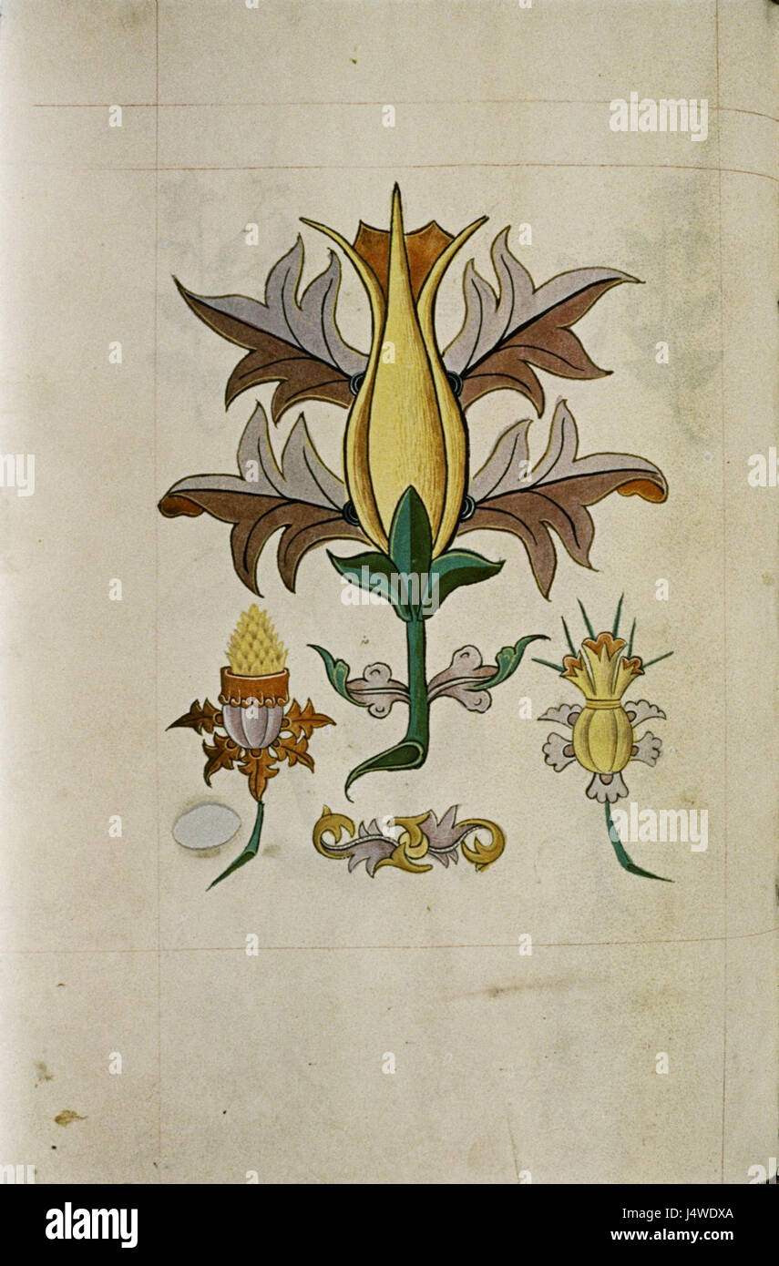 The Tudor pattern book MS. Ashmole 1504 50 Stock Photo - Alamy