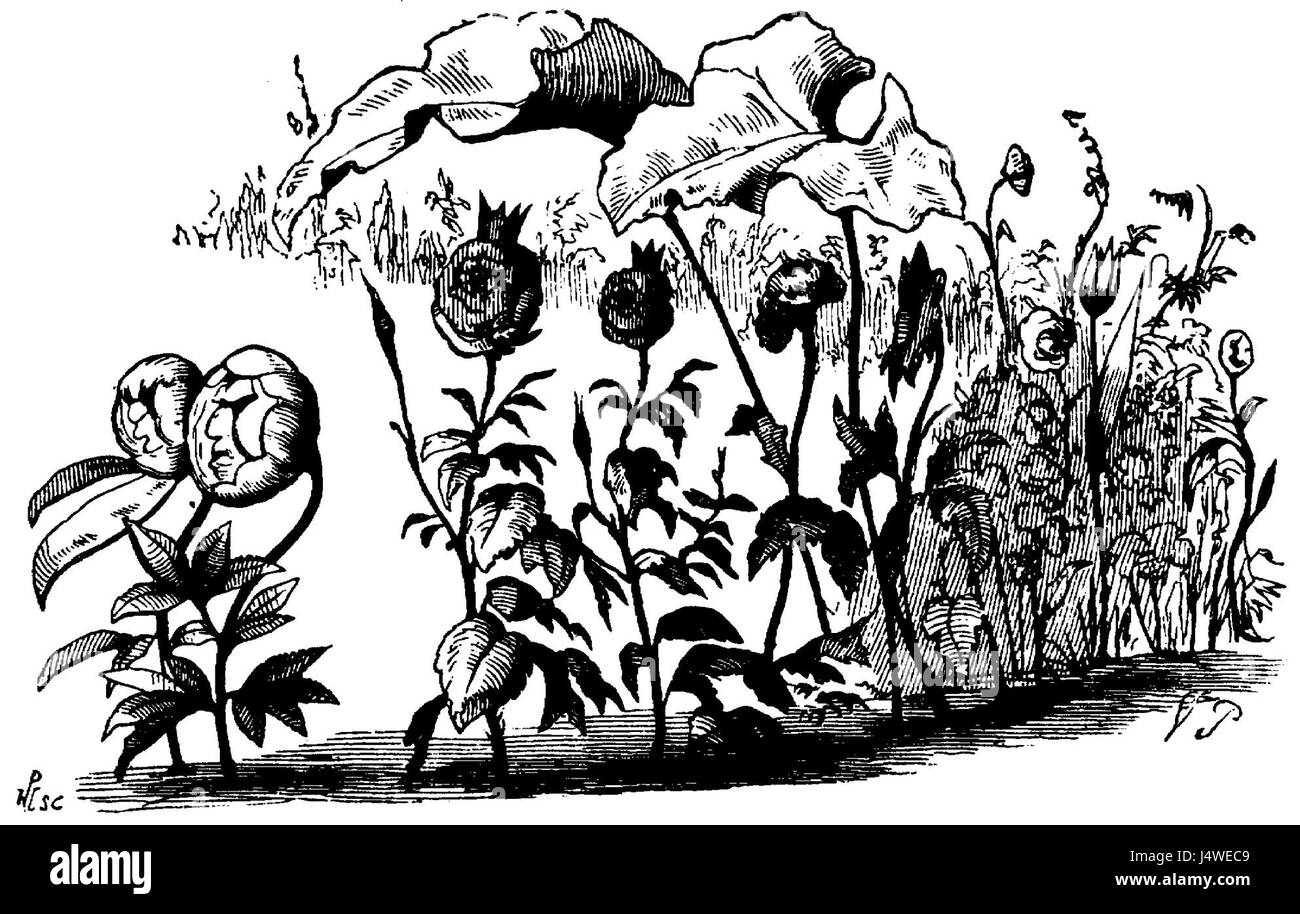 Drawing by vilhelm pedersen hi-res stock photography and images - Alamy