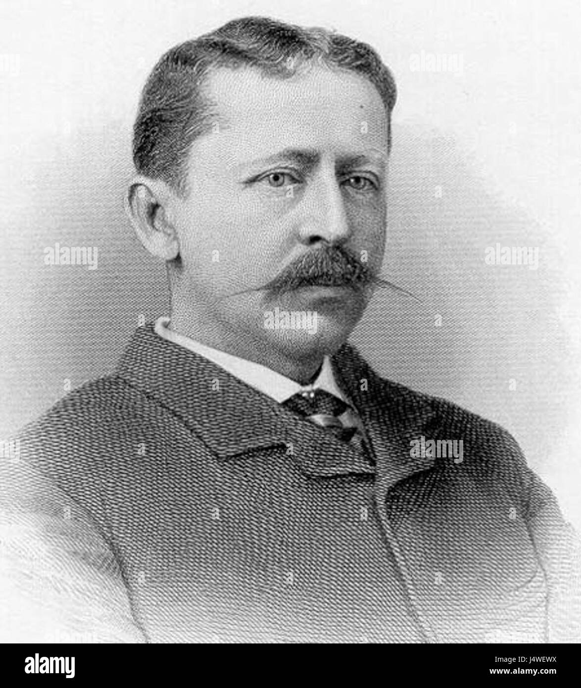 Thomas Bailey Aldrich was an American writer and poet, known for his ...
