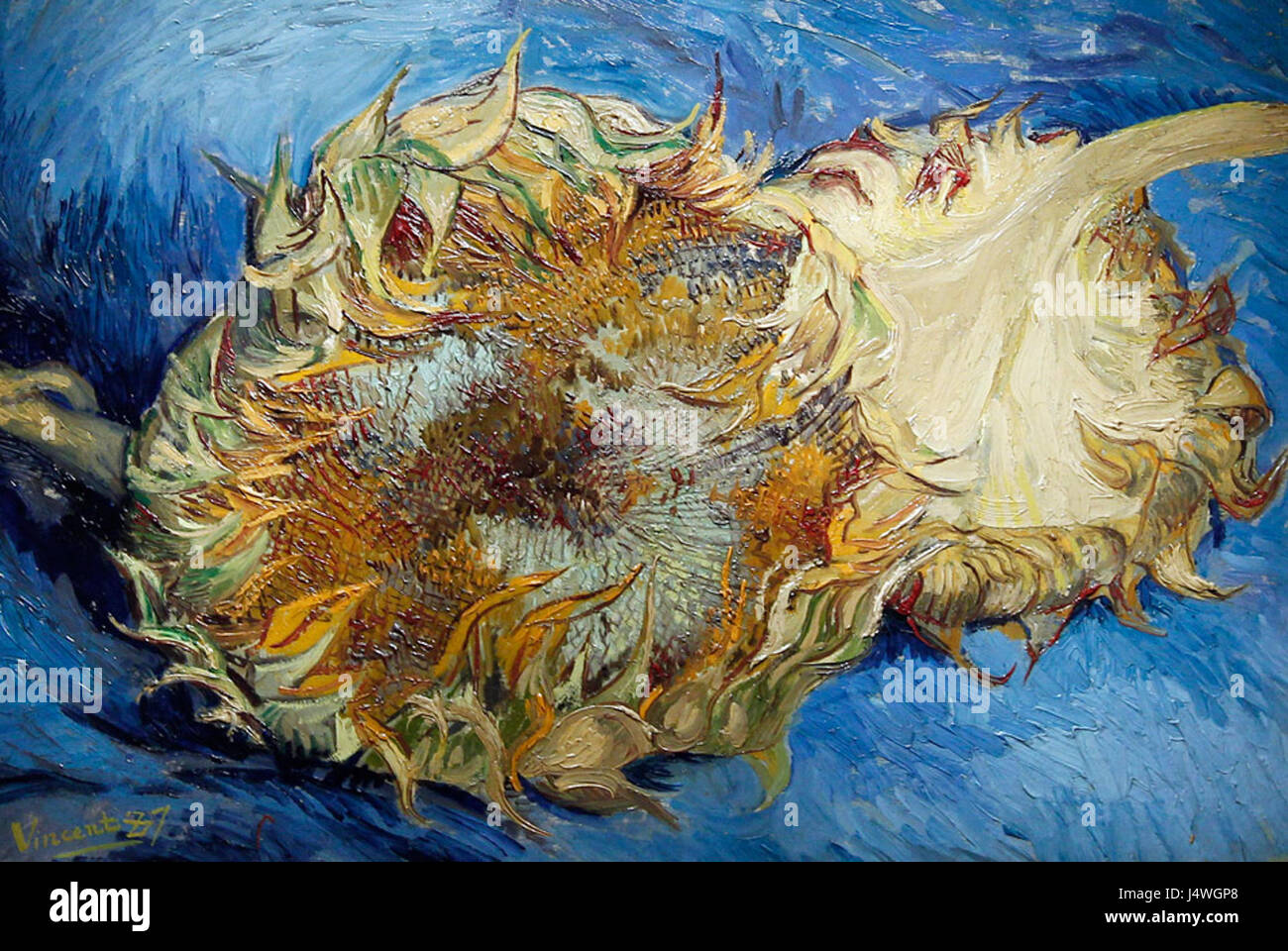 Vincent van Gogh's 'Sunflowers' is a famous painting created in 1887 ...