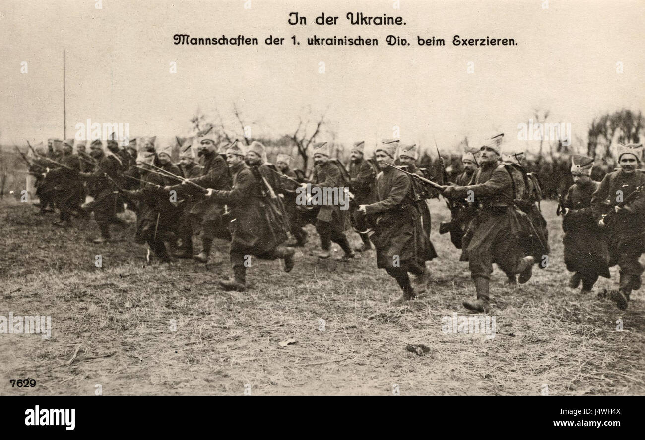 The Ukrainian bluecoats of 1918 were part of the military forces during ...