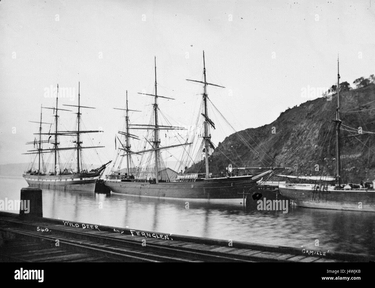Wild Deer (ship, 1863) natlib.nz 516816 Stock Photo - Alamy