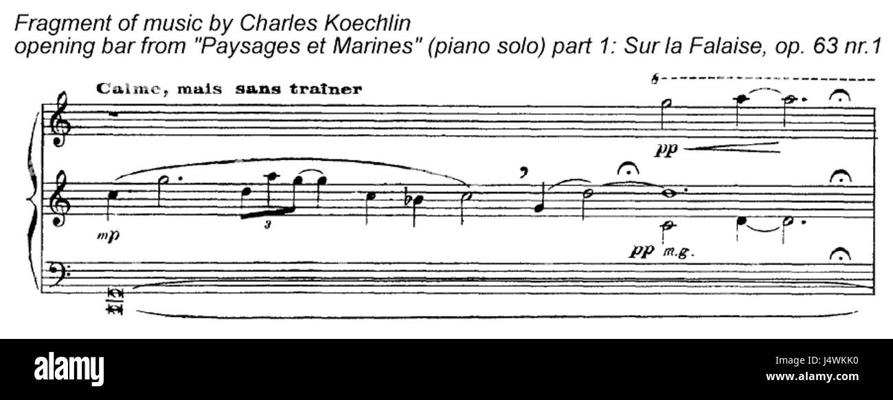 Zwevende ritmiek is a term in Dutch meaning 'floating rhythm,' often ...