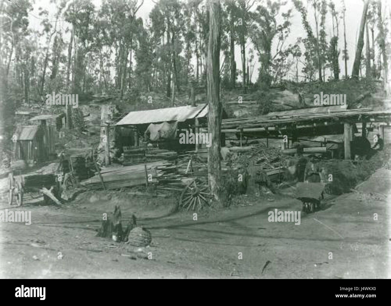 The Yinnar South Grants Saw Mill in 1908 was a key industrial facility ...
