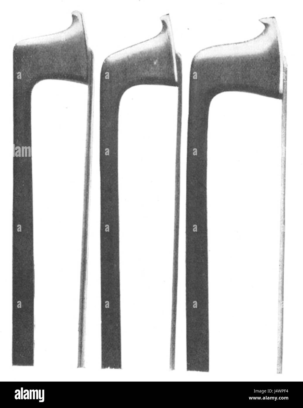 J frog Black and White Stock Photos & Images - Alamy