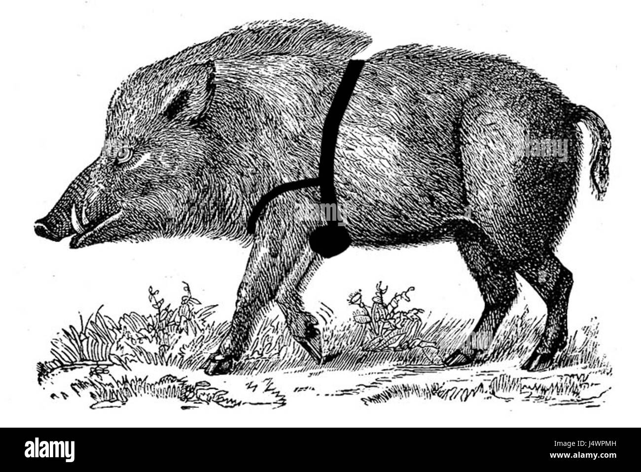 Useless photo hi-res stock photography and images - Alamy