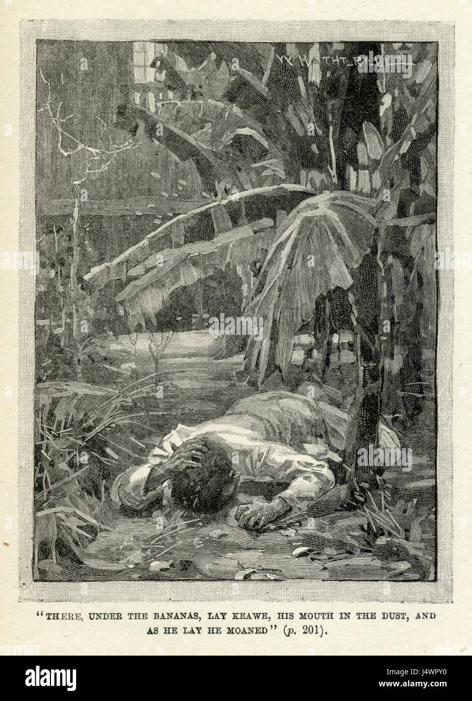 This image shows an original scan of an illustration by William ...