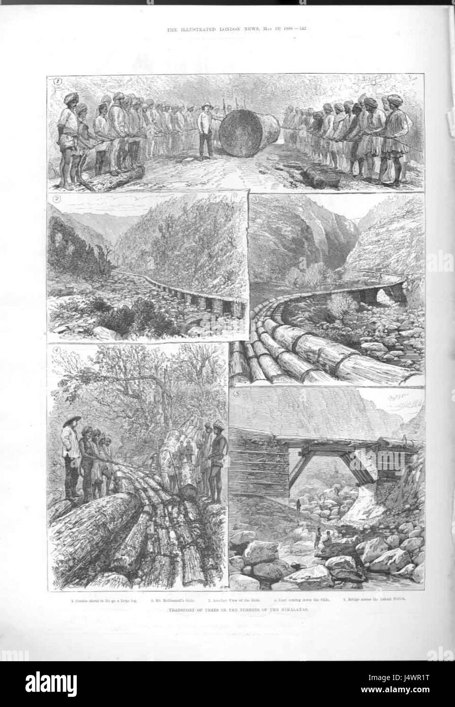 Replanting tree Black and White Stock Photos & Images - Alamy