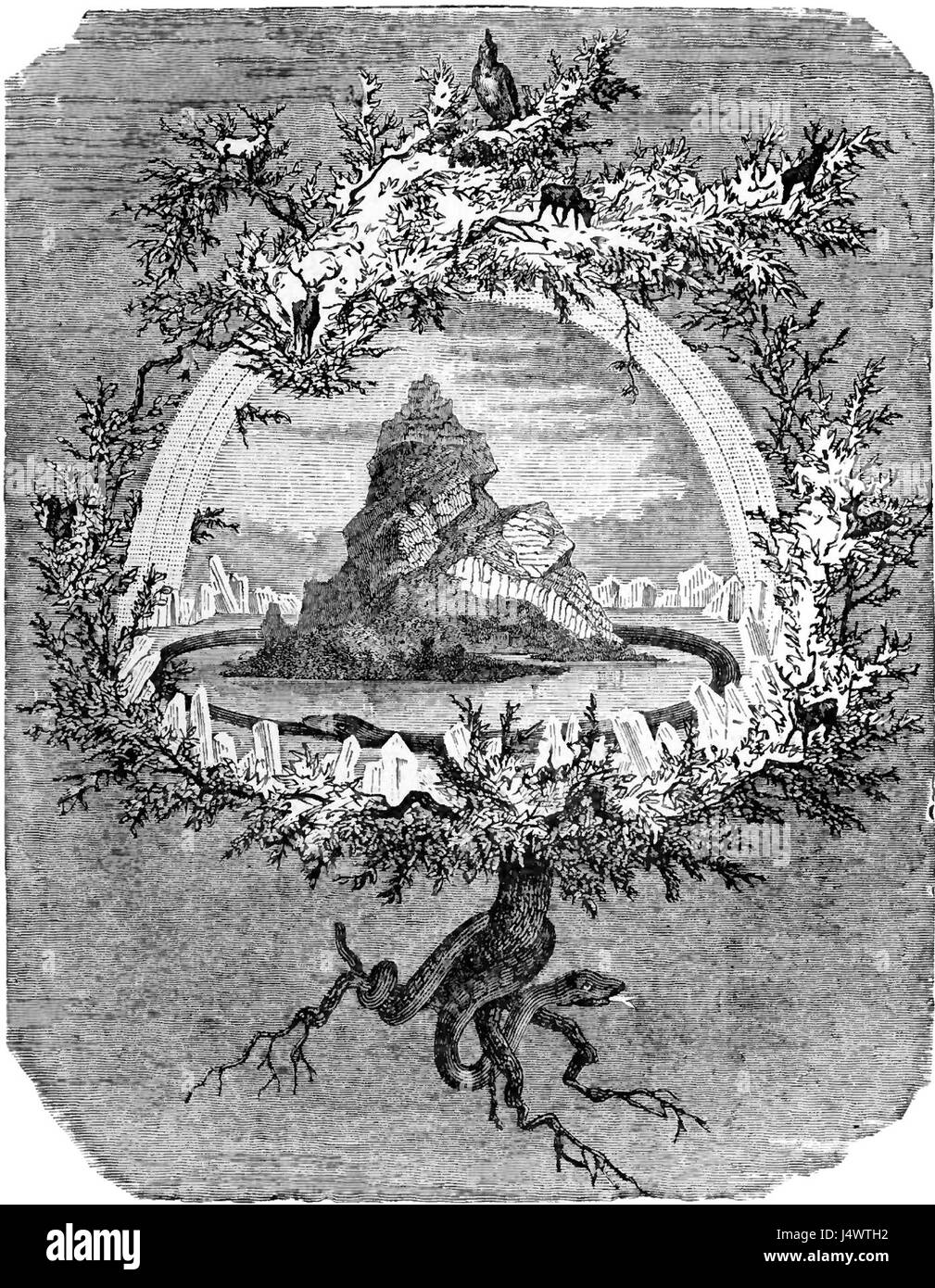 Yggdrasil Odin