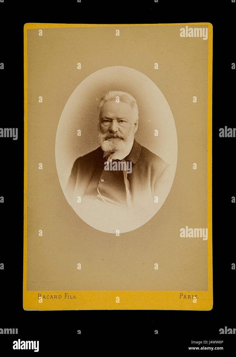 This portrait of Victor Hugo, created by Bacard Fils in the late 19th ...