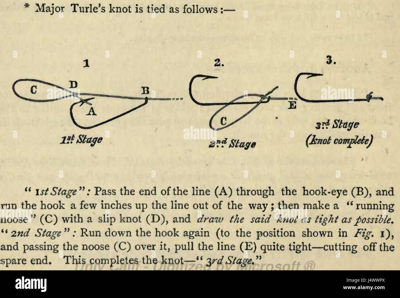 An image of a knotted rope design, possibly a turtle knot, used in ...