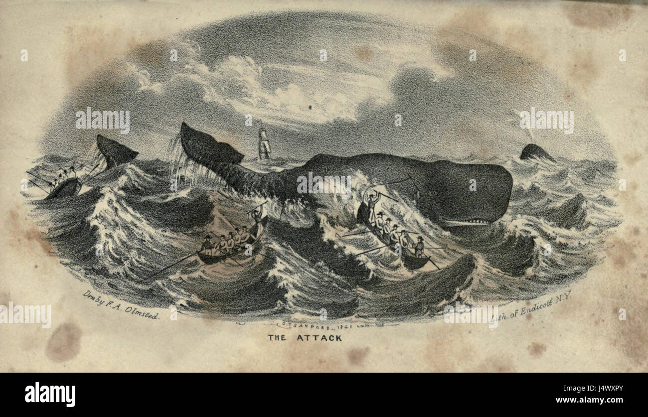 The Attack, sketch by F. A. Olmstead, 1841 Stock Photo - Alamy