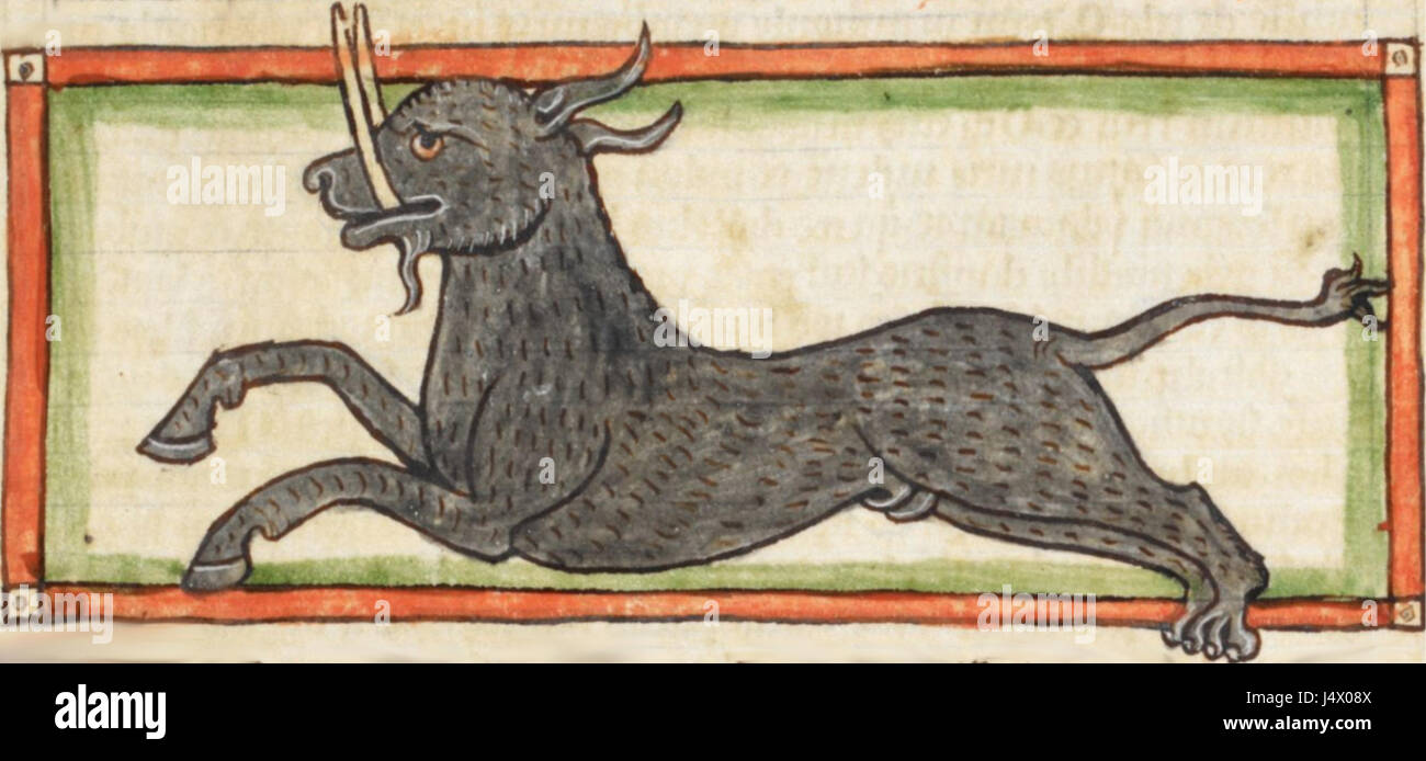 Yale university rare book library hi-res stock photography and images ...