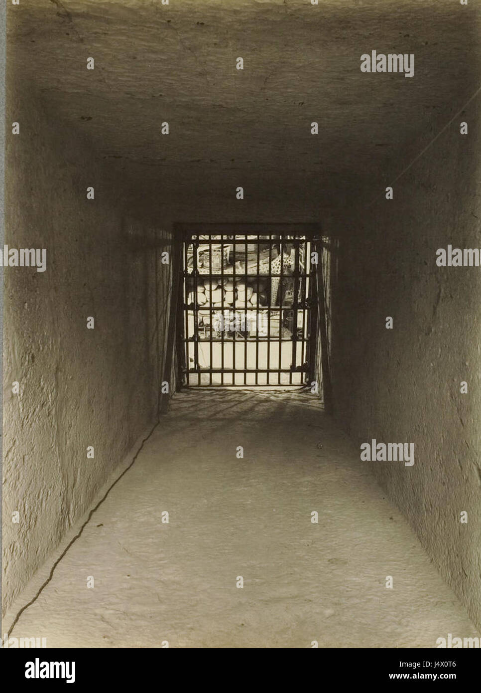 The photographs of Tutankhamun's tomb capture the detailed exploration ...