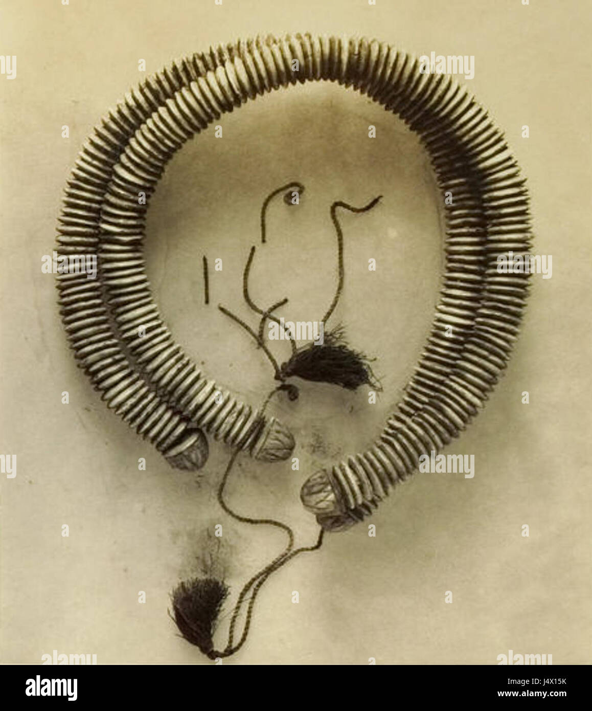 These photographs capture key moments from the tomb of Tutankhamun ...