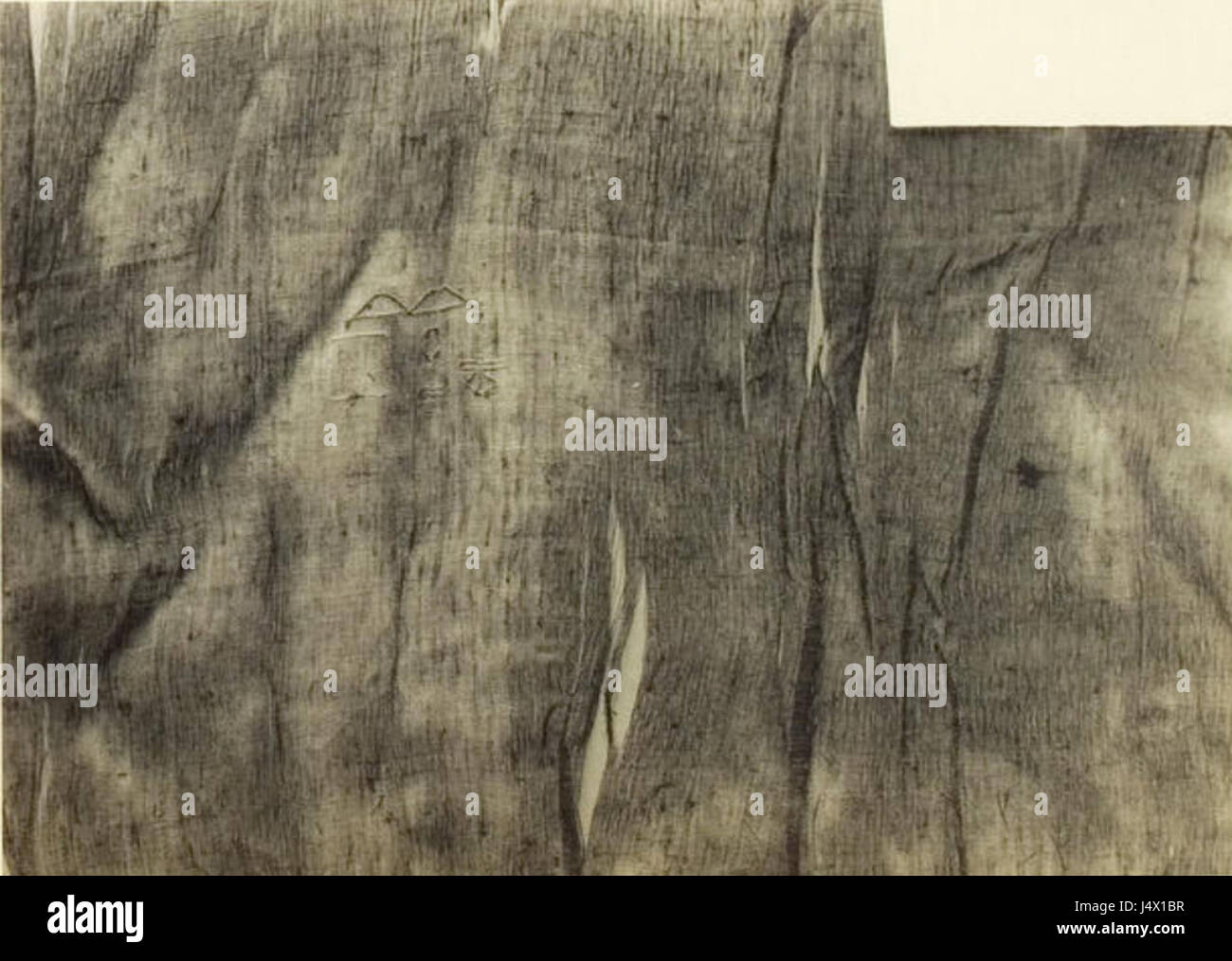 These photographs capture the famous tomb of Pharaoh Tutankhamun ...