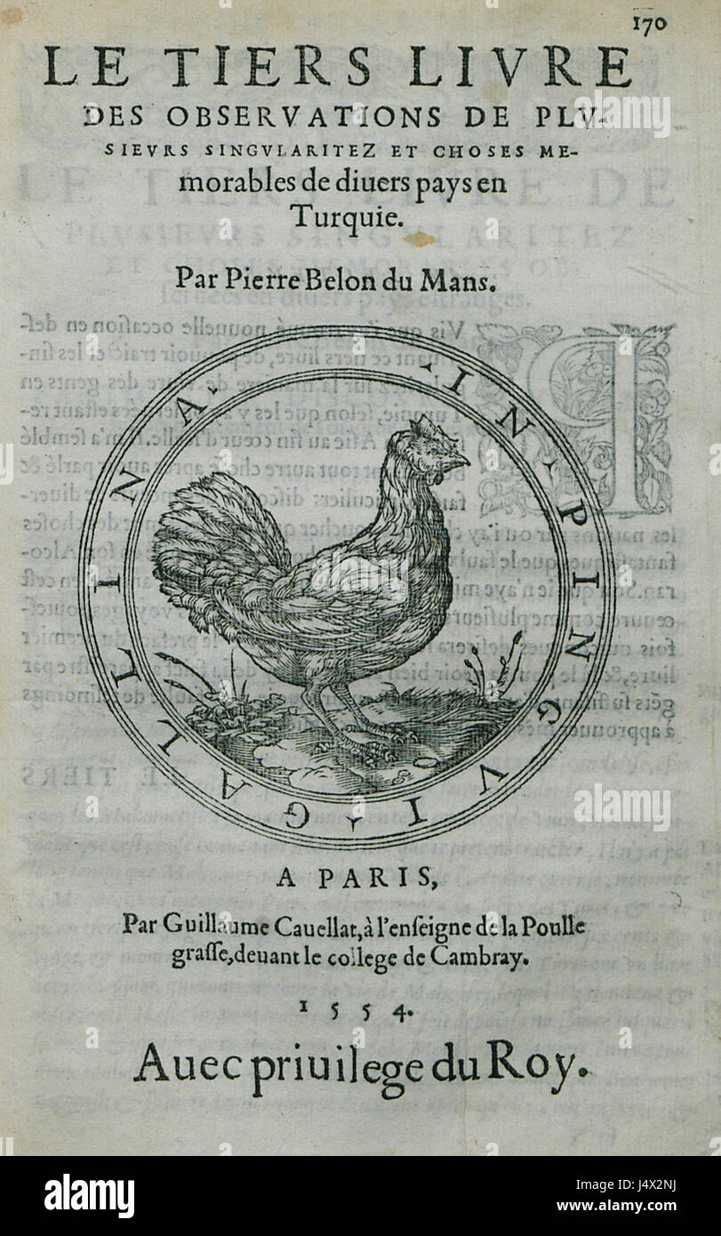 The title page of the third volume of *Pierre Belon*'s work, published ...