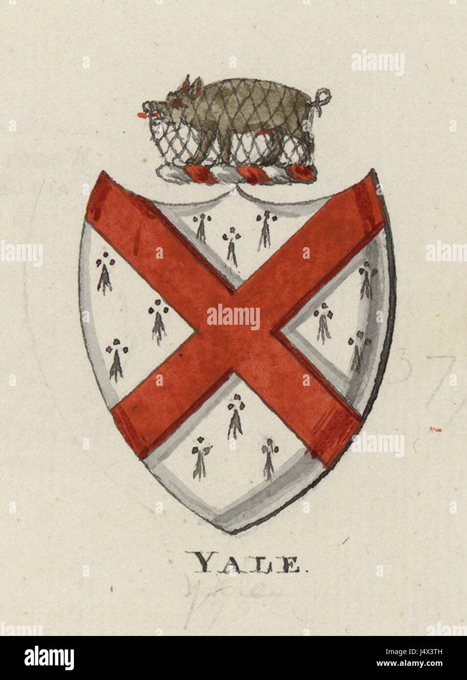 Yale Shield