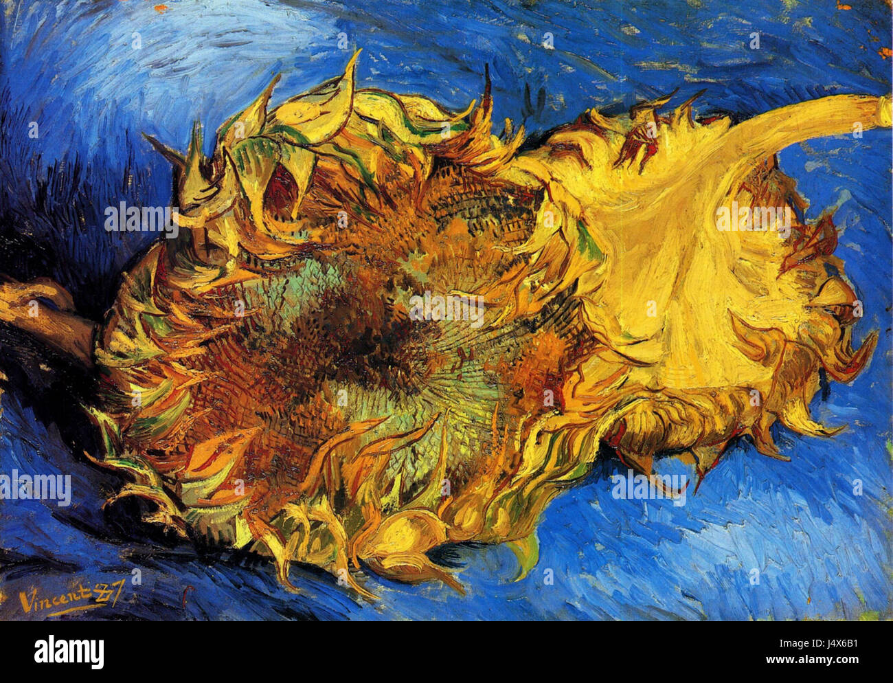 Gogh sunflowers hi-res stock photography and images - Alamy