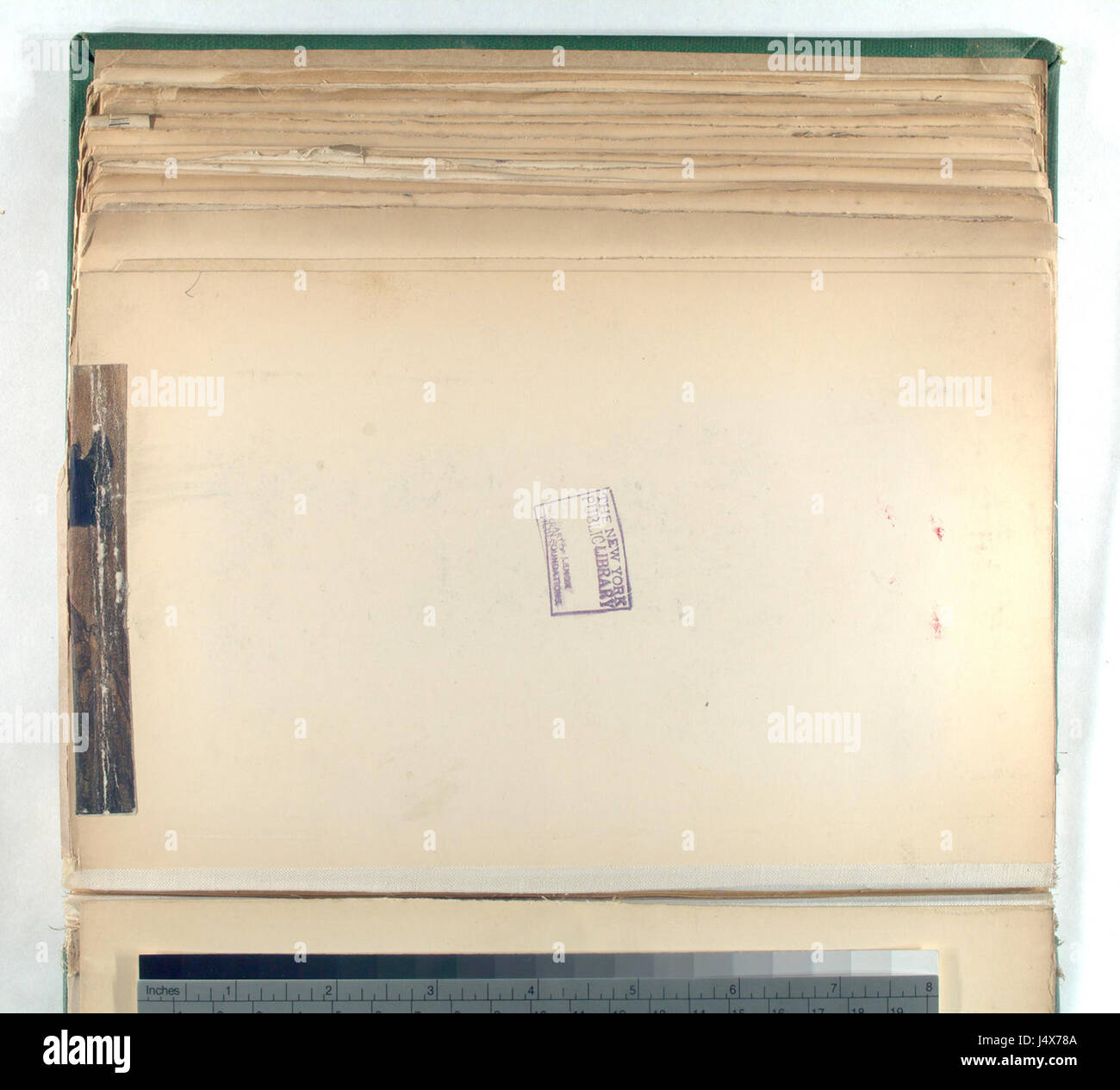 'Ynfanteria de Linea' refers to line infantry, a standard formation ...