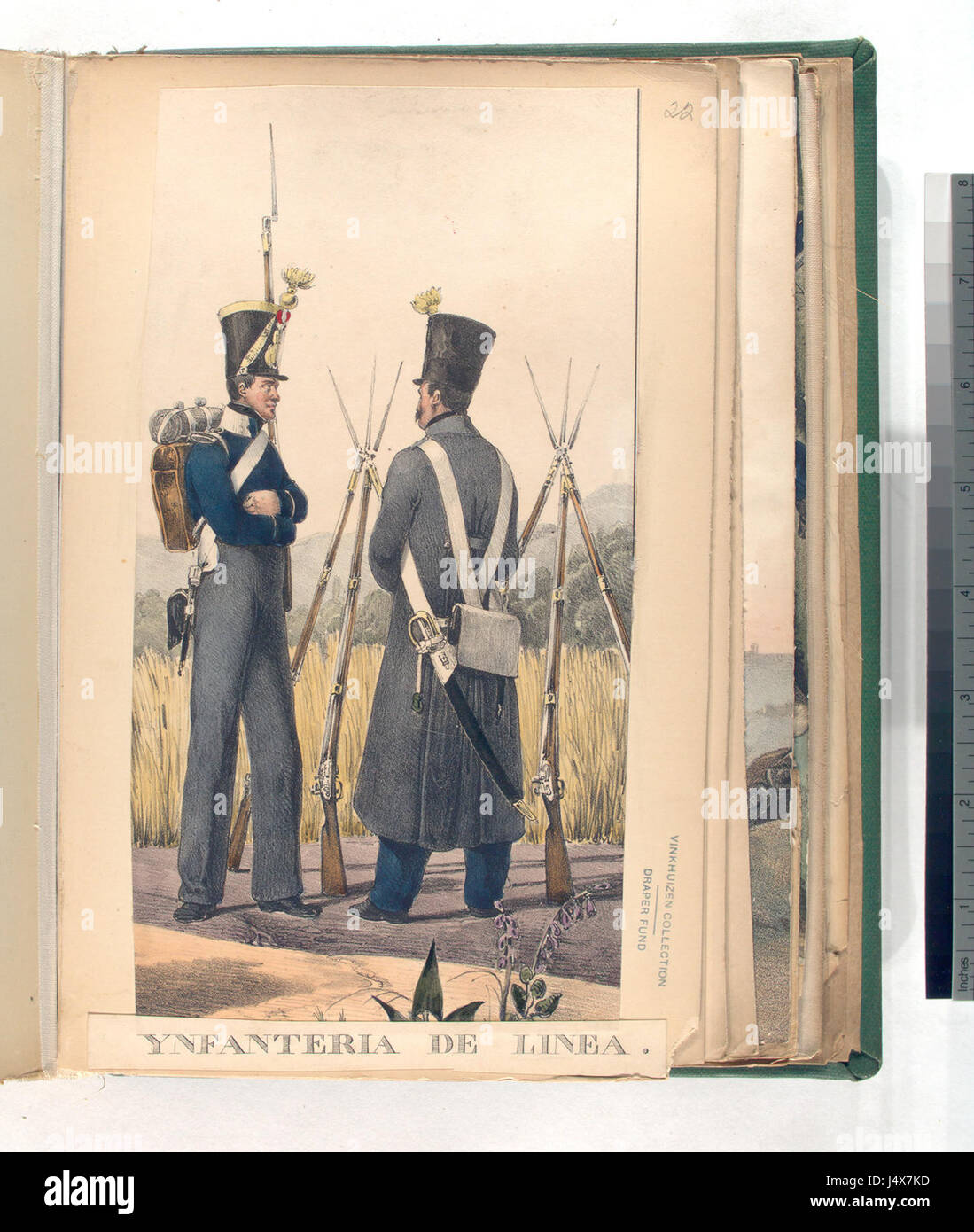 The 'Ynfanteria de Linea' refers to the infantry regiments of Spain ...