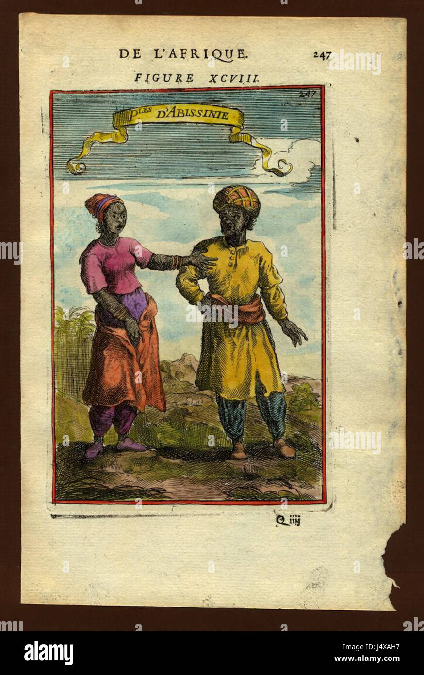 Abyssinians hi-res stock photography and images - Alamy