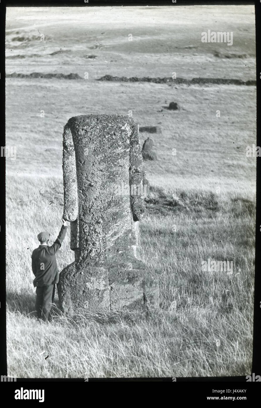 View of a back of moai with a man standing on the left of the sculpture ...