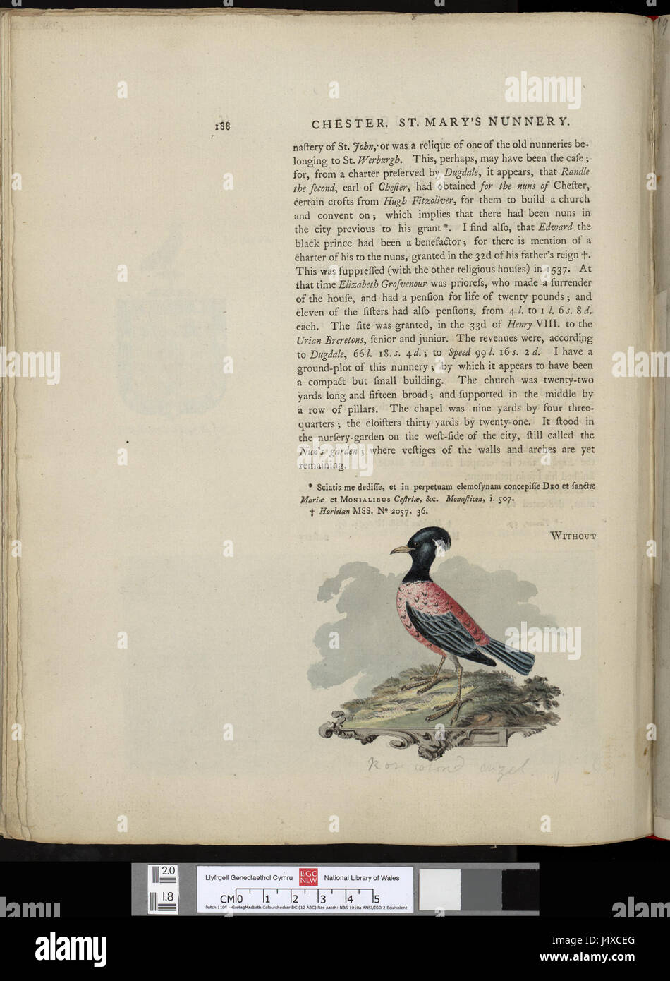 Thomas Pennant's 'A Tour in Wales' is a travel account detailing his ...