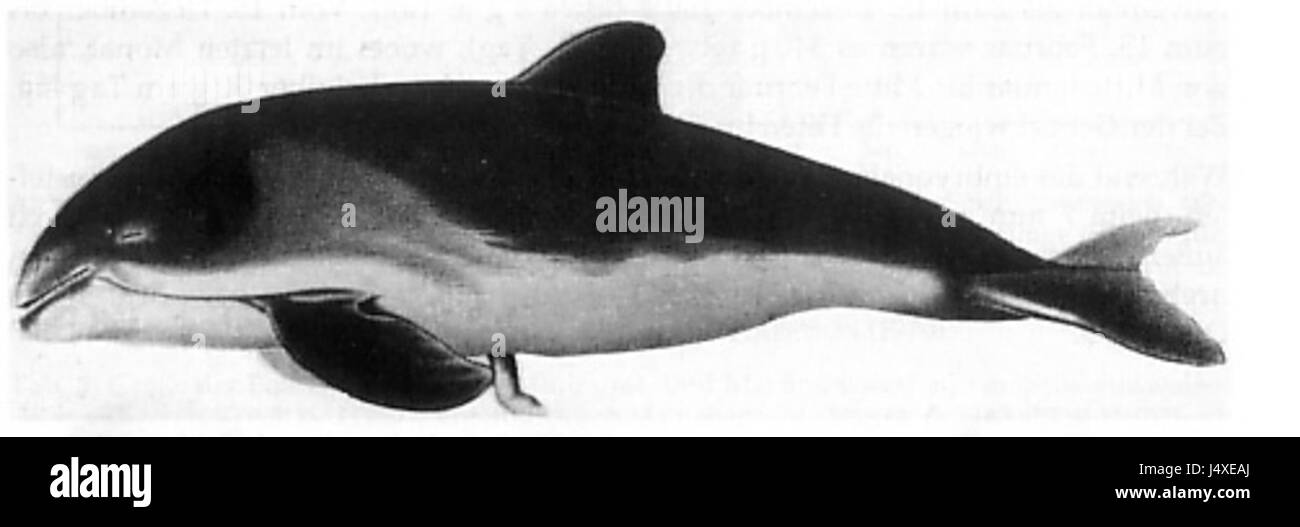 Walembryo 264 is a biological specimen or a term used in scientific ...