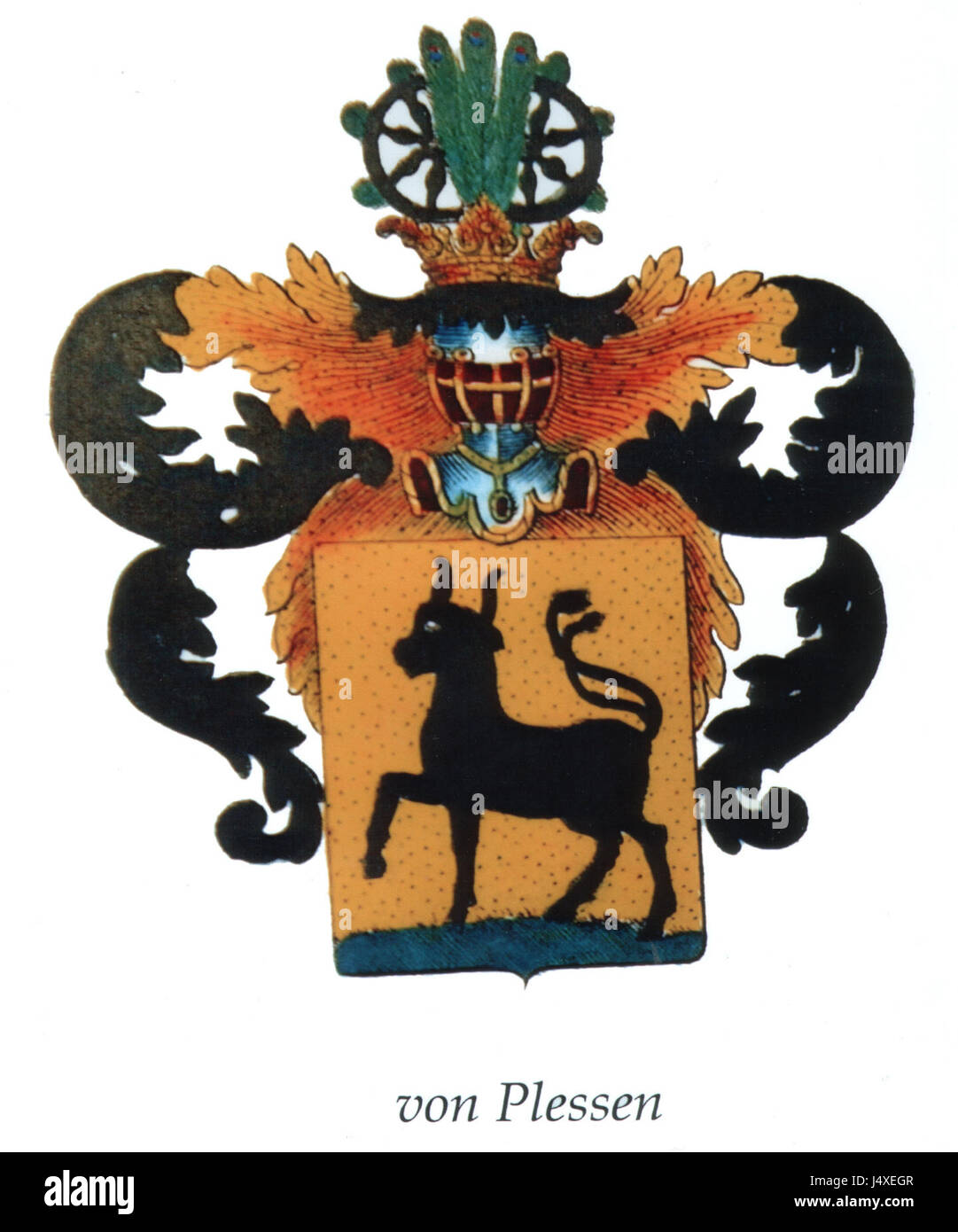 Wappen der Familie von Plessen Stock Photo - Alamy