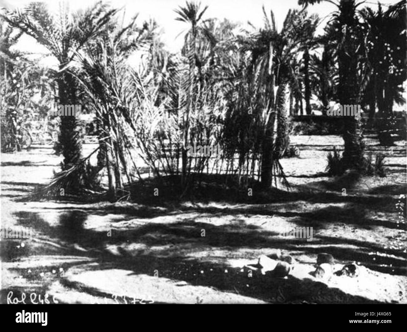 Xavier Coppolani was a French colonial administrator in North Africa ...