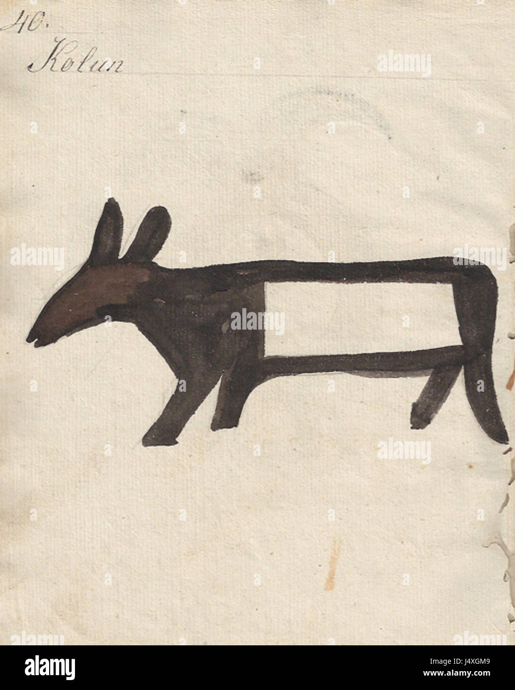 Viehbrandzeichen refers to cattle branding marks, used to identify ...