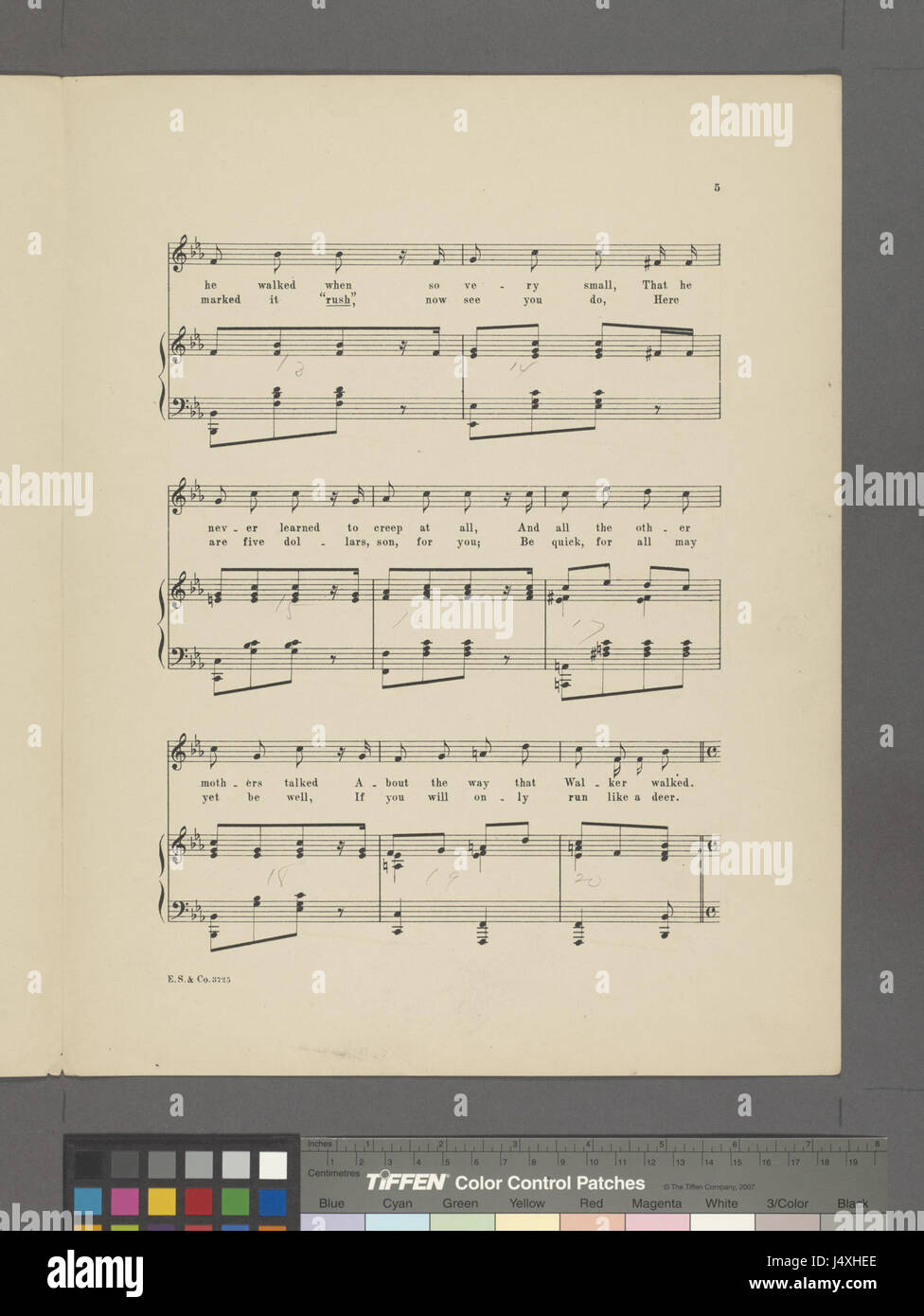 A visual depiction of the path taken by Walker, as represented in the ...